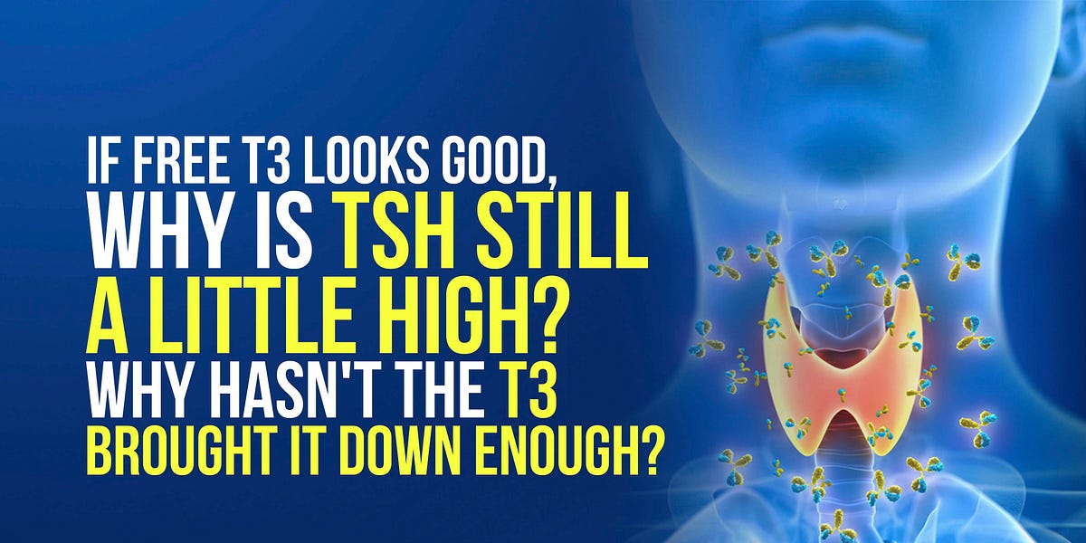 059: If free T3 looks good, why is TSH still a little high? Why hasn't ...