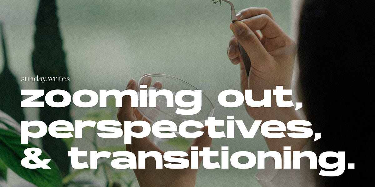 Zooming out, perspectives, and transitioning.