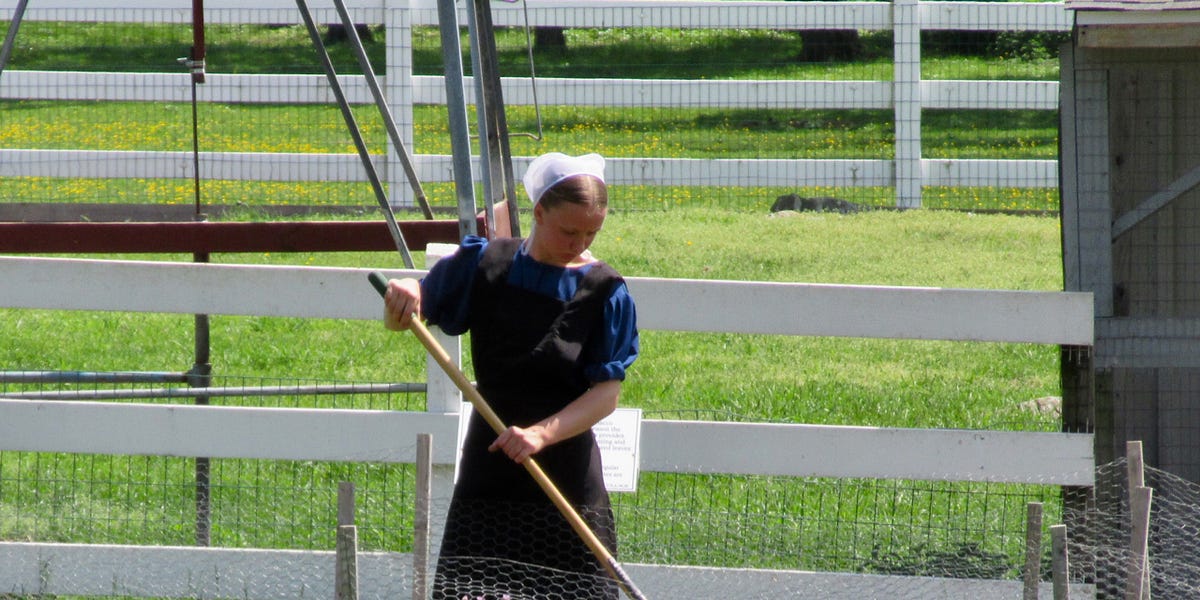 TECHNO-CHALLENGED - by Jan Stoneburner