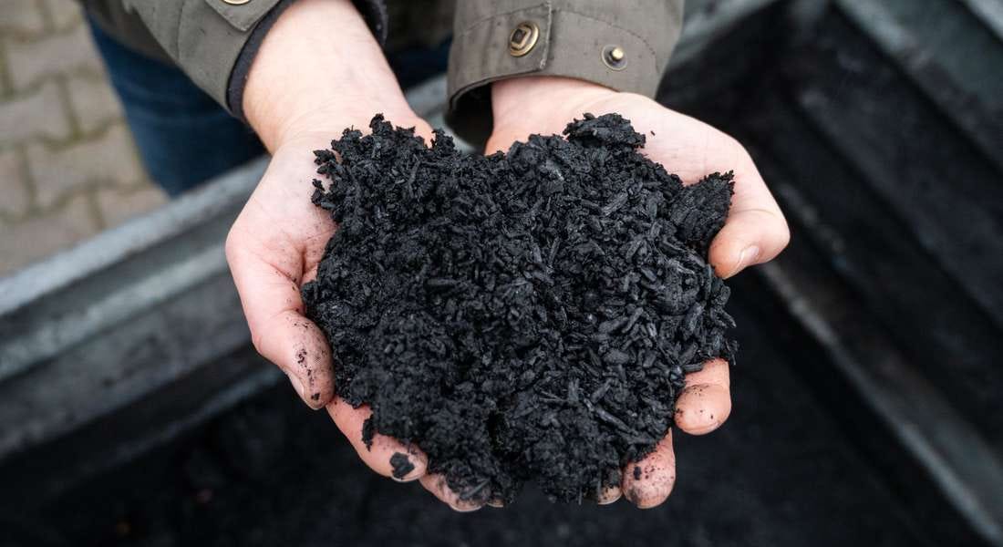 Terra Preta De Indio - by Paul Lee Maxwell