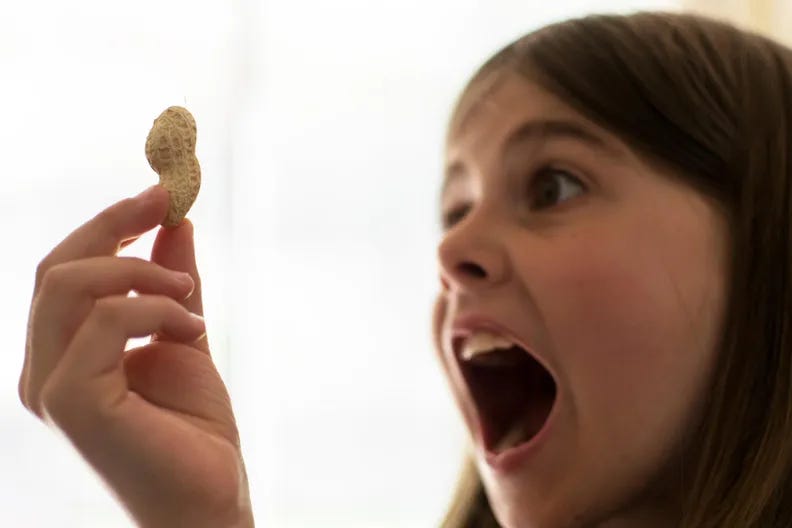 SciTechDaily | Scientists Reverse Food Allergies by Targeting the ...