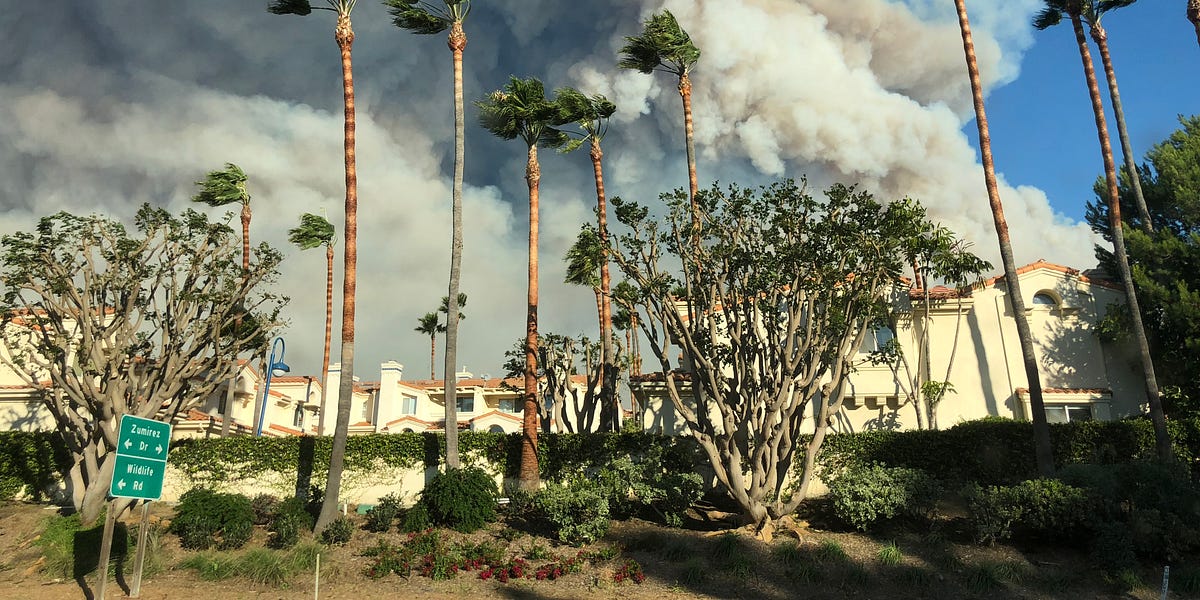 Wildfire Burn - Decadence with Tanna Key