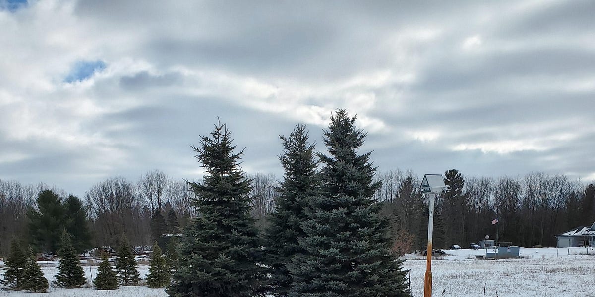 🛰 Starlink photo shows how it enables high-speed rural internet