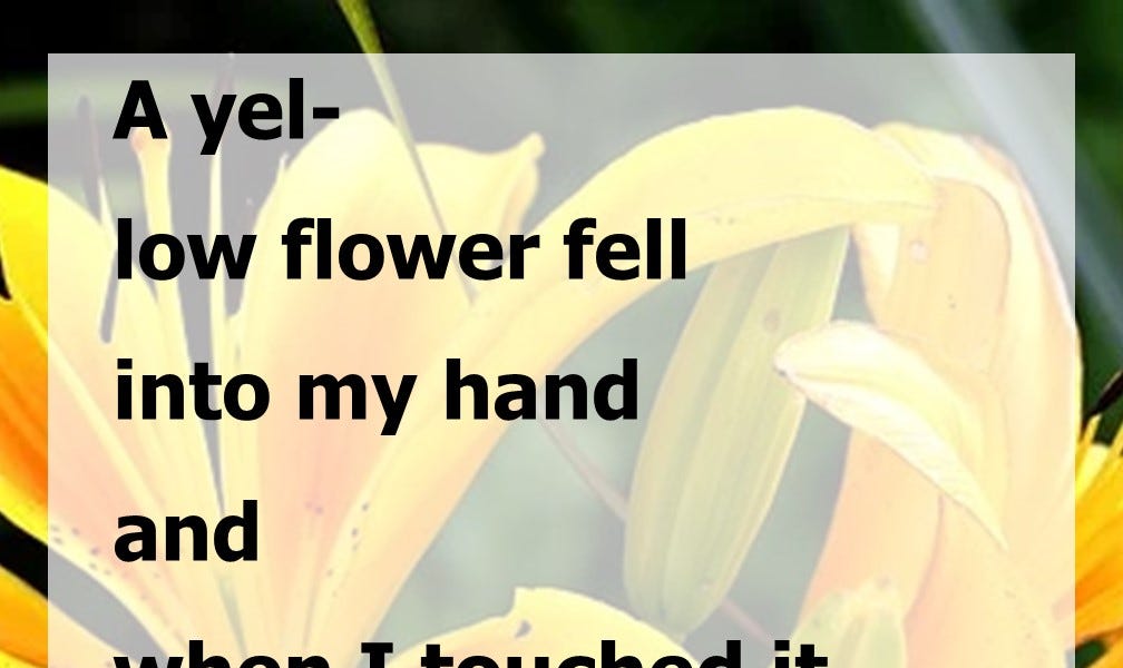 On Seeing the Sentient Flying Flowers of Pegasus II for the First Time