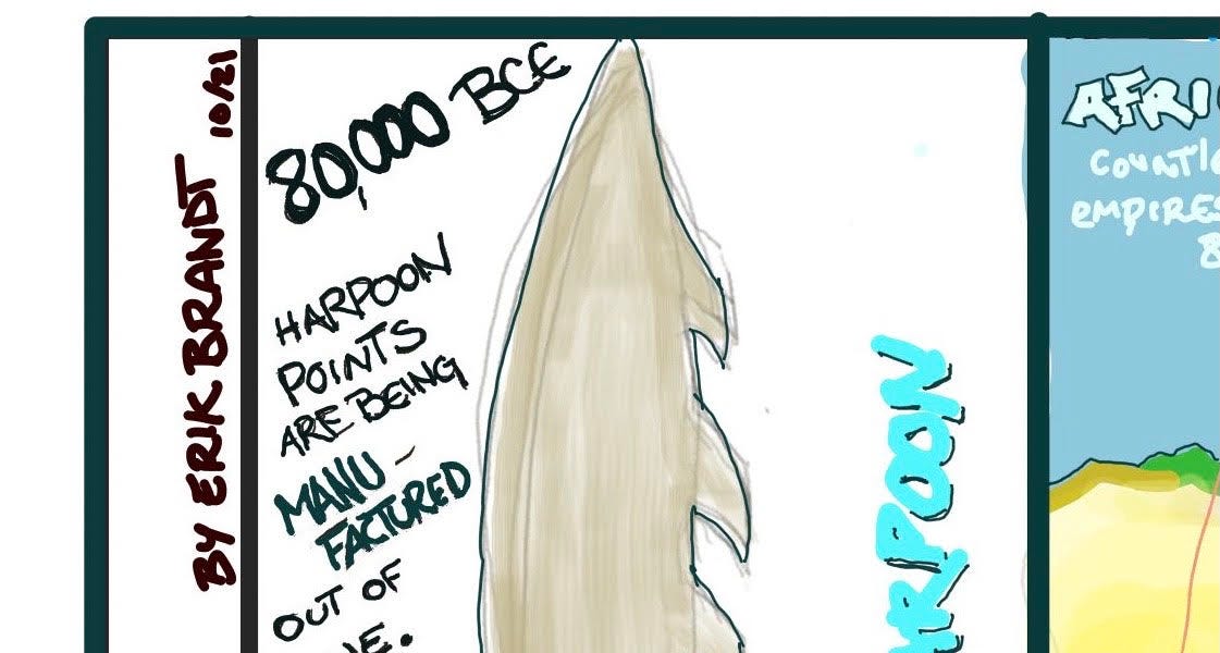 African's across the Atlantic - Cormorant