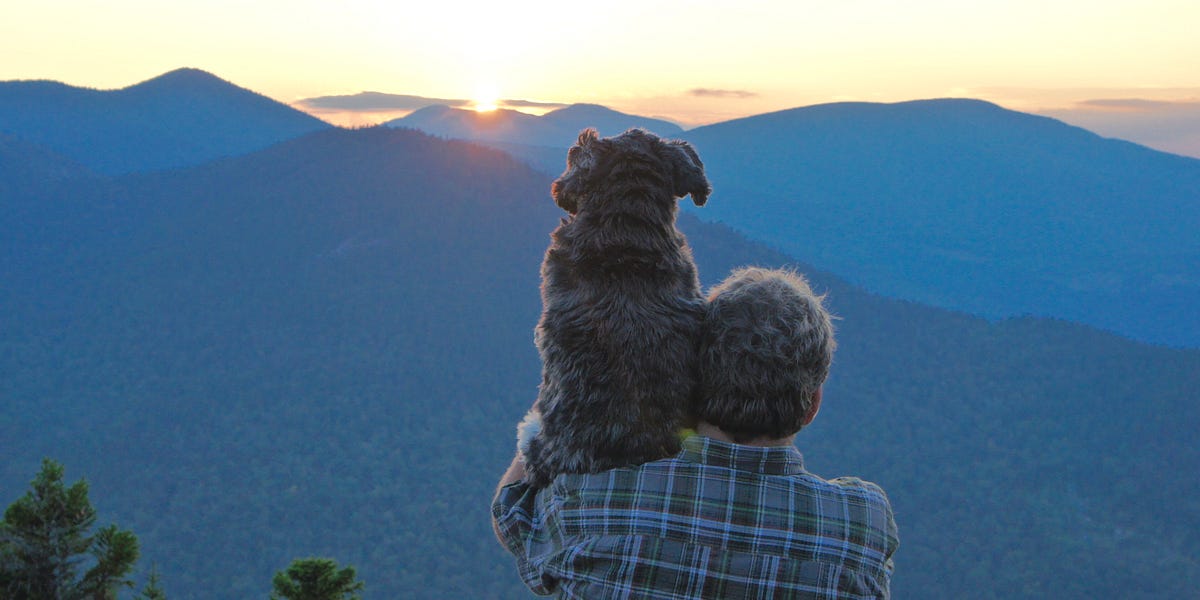 Atticus - Tom Ryan, Author