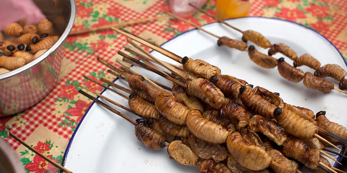 A Guide to the Edible Insects of the Americas