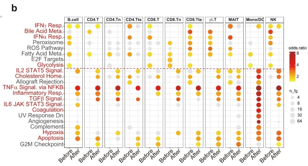 Understanding cachexia as a cancer metabolism syndrome
