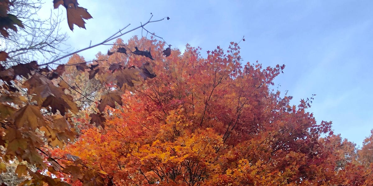 Perspective - by Maura Dunn - What counts?