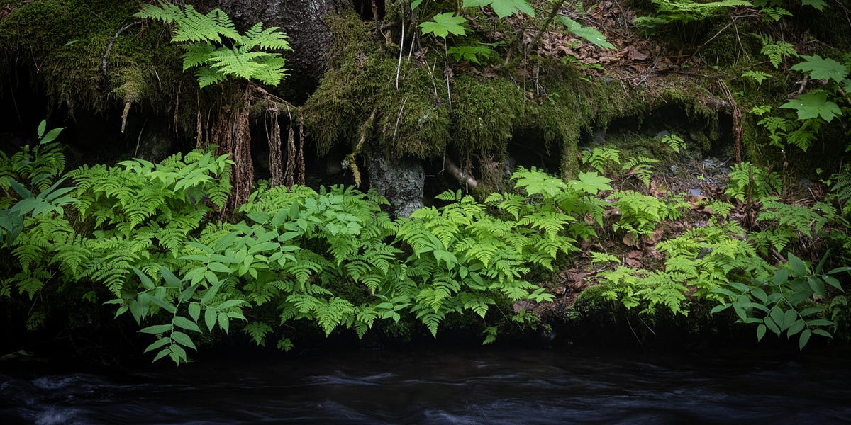 Fifty-word stories: an experiment - by Amy Marie Turner