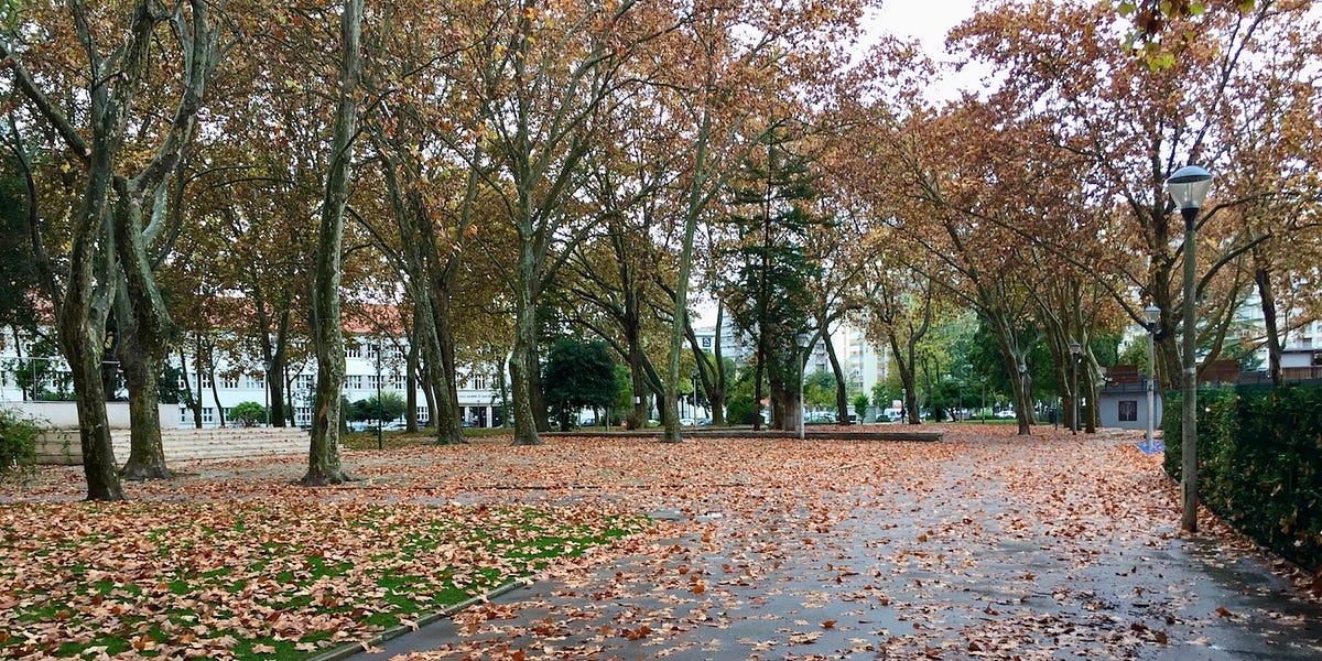 Rest & Reset: Restoring Equilibrium - life: examined