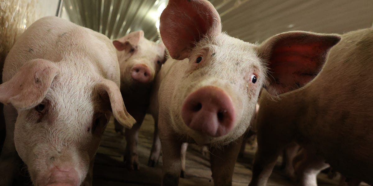 Jeff Broin’s POET gives $1M to anti-slaughterhouse campaign