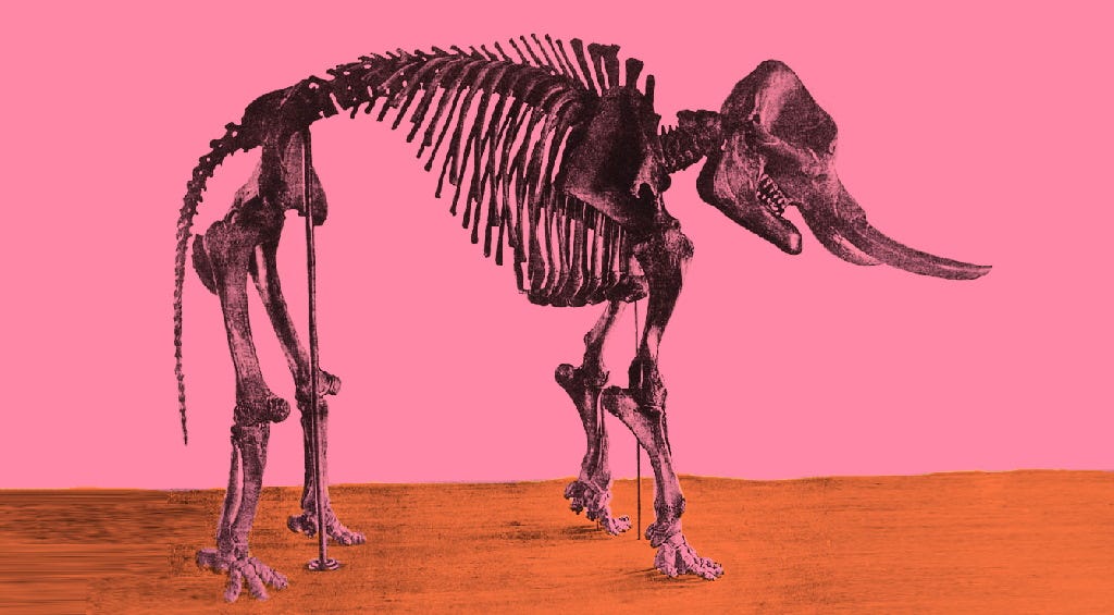 Avez-vous vu le mastodonte ? - by Omer / Muzeodrome