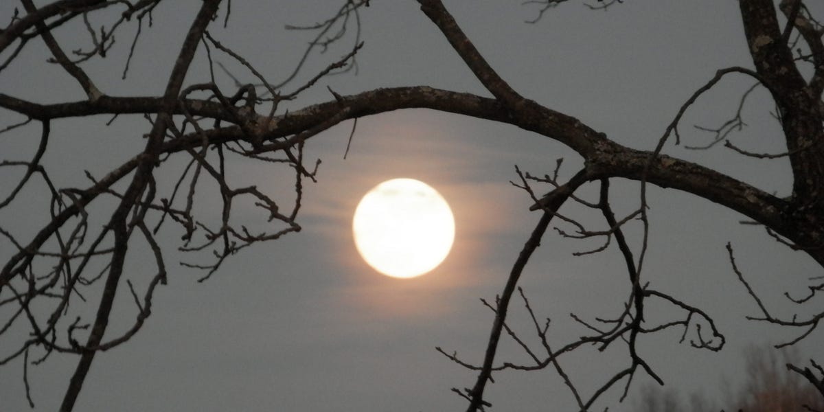 Fiction Within Fiction - by Barbara Jean Miller