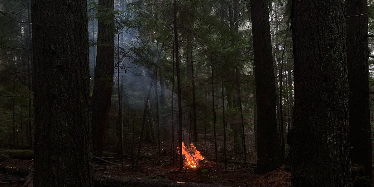 the Glow pt. 2 still - by Phil Elverum