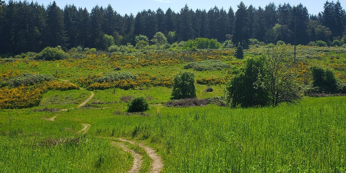 Welcome! - by Mark Storer - A Difference of Degree