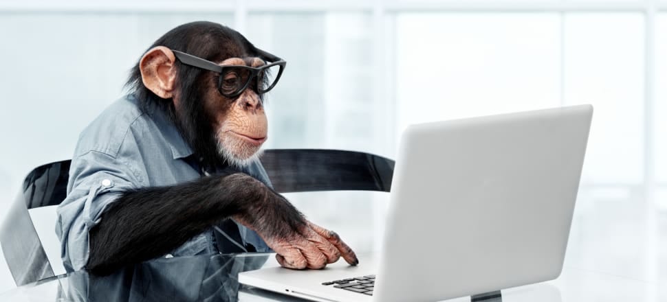 The monkeys that beat the market - Market Sentiment