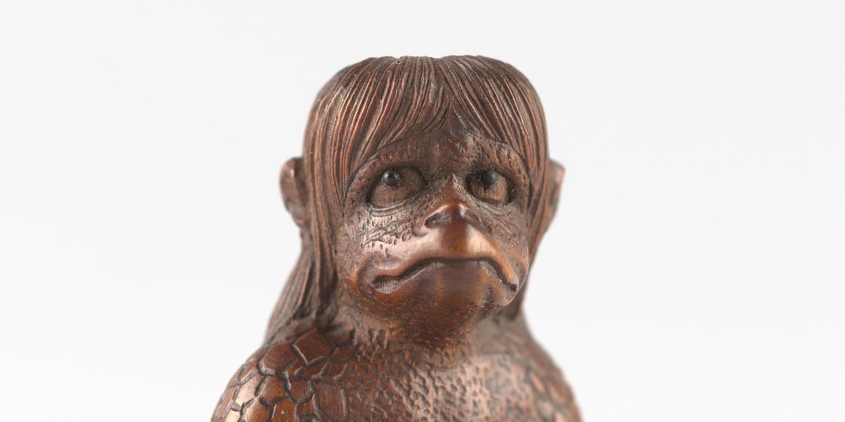 Welcome to Kappaland! - by Tara Cheesman - Ex Libris