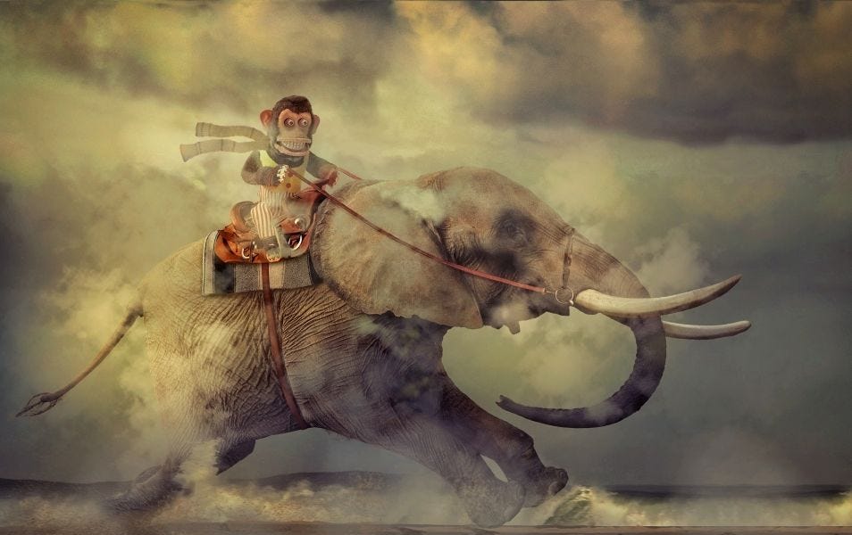 Monkey Riding an Elephant - by Terah Harrison