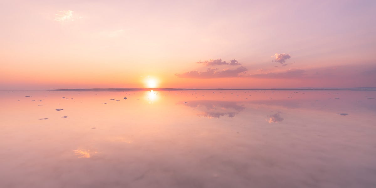 Science and Poetry - by Ray Shermer - Ray’s Newsletter