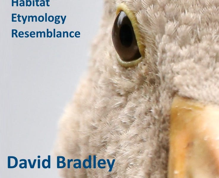 Chasing Wild Geese - by David Bradley - Sciencebase