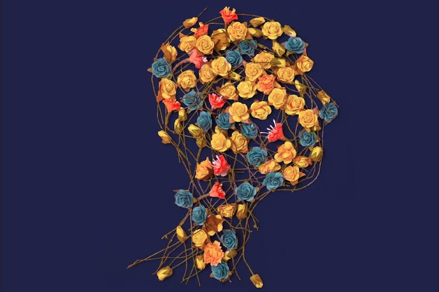 Chelsea Conaboy and "Mother Brain" - by Emily F. Popek