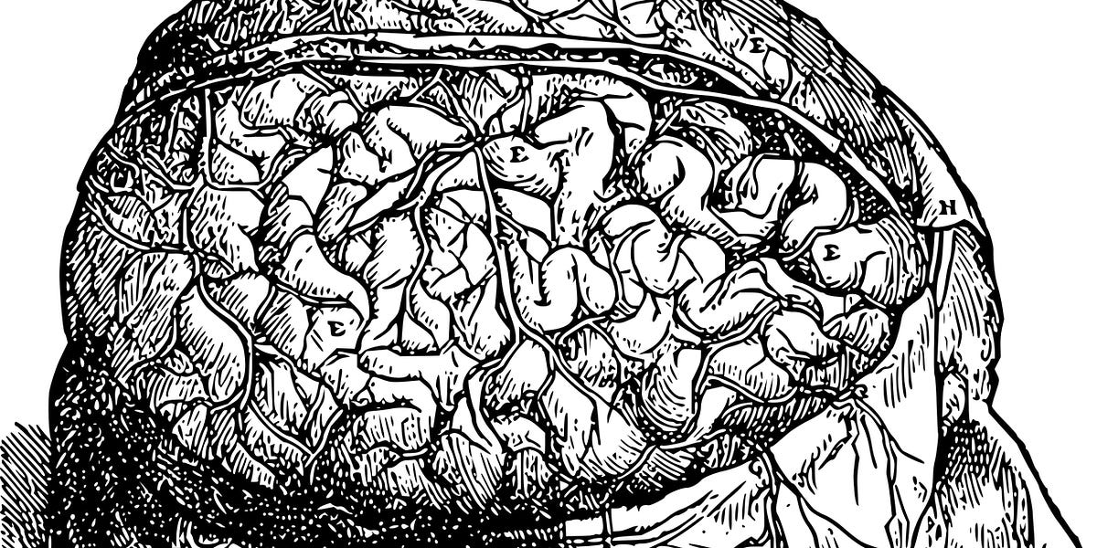 How Would The World Be Like Without Knowledge