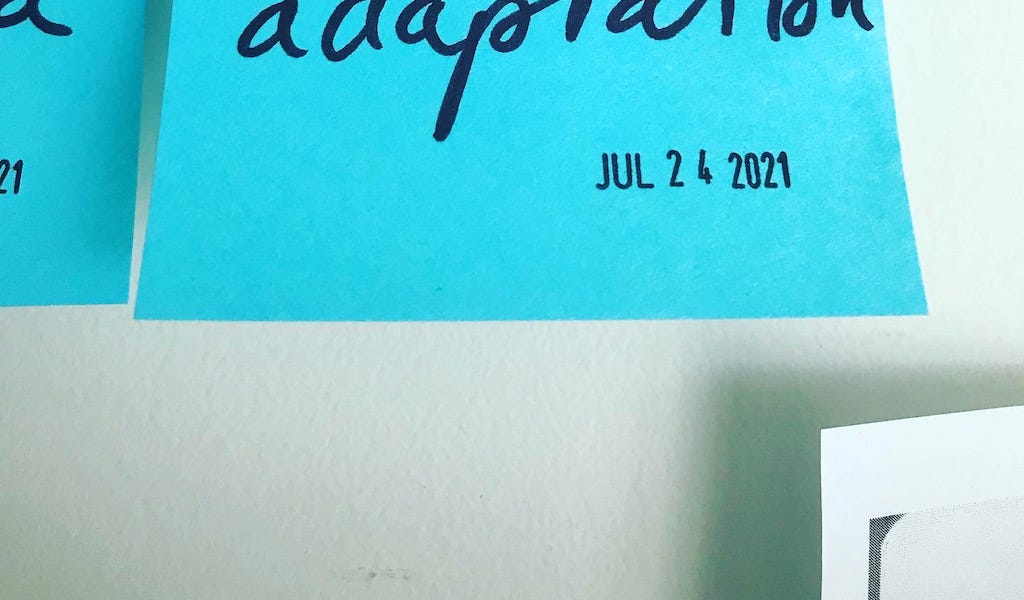 #16: hedonic adaptation - by Laura Bucci - Research Notes