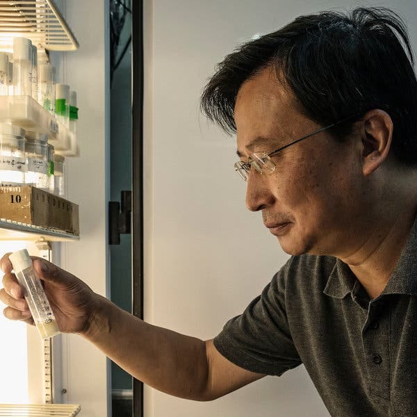 Leading scientist calls on China to share gene data