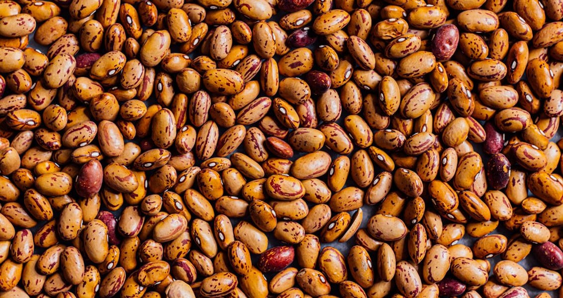 Bean Science Part I - by Nik Sharma - The Flavor Files