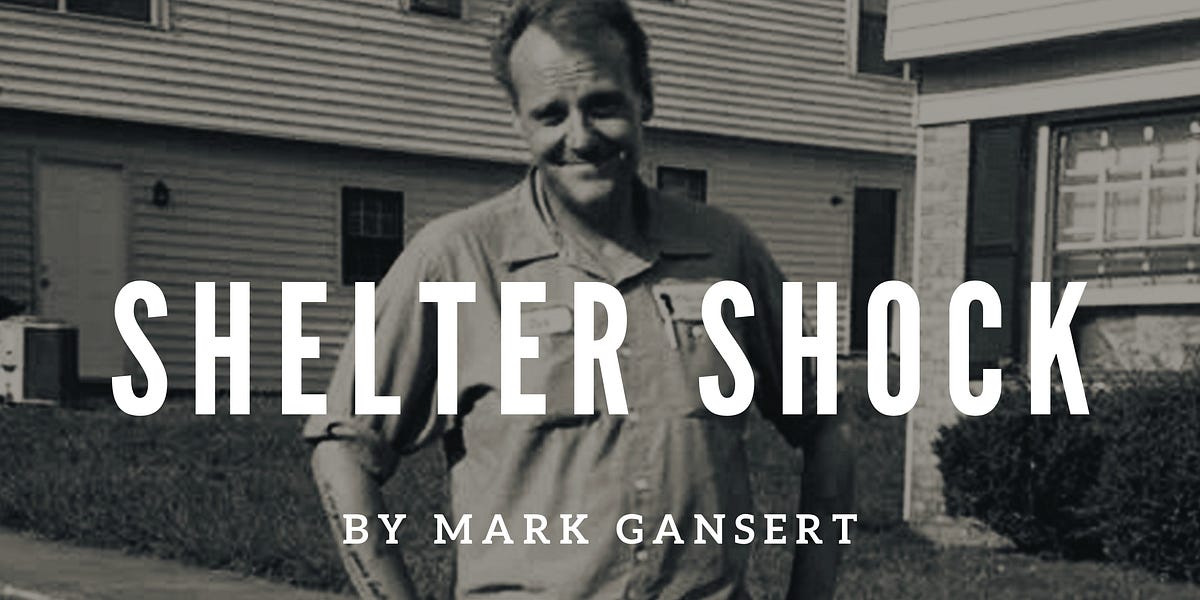 Shelter Shock - by Mark Gansert - Speak Up