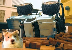 The Onion's "Hamster Thrown From Remote-Control Monster Truck" is 20 ...