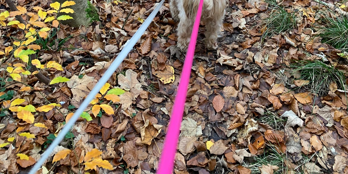 Off the beaten track - by Mandy Pearson