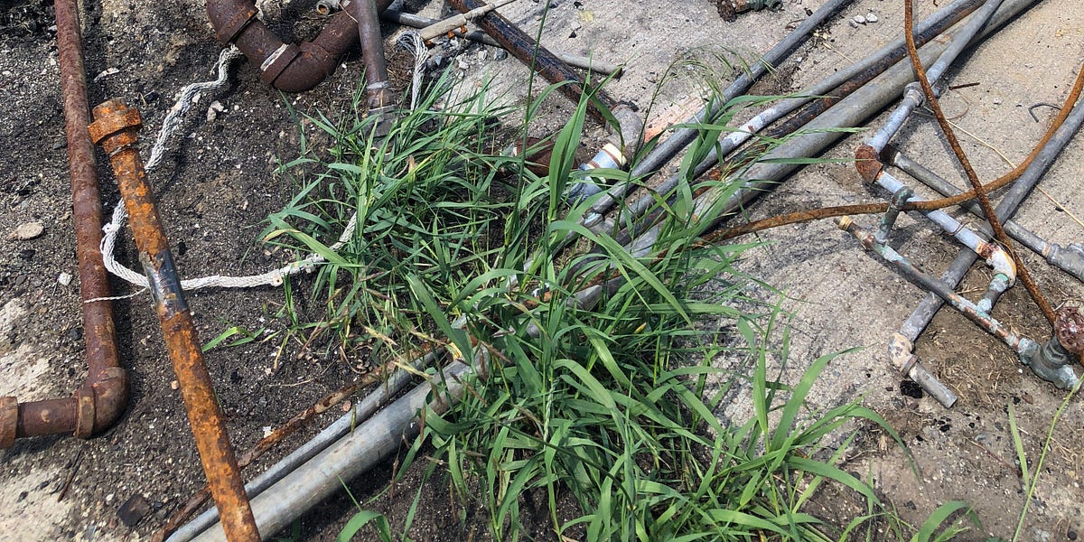 UNEASY VISTAS When "Harmless" Things Scare You?