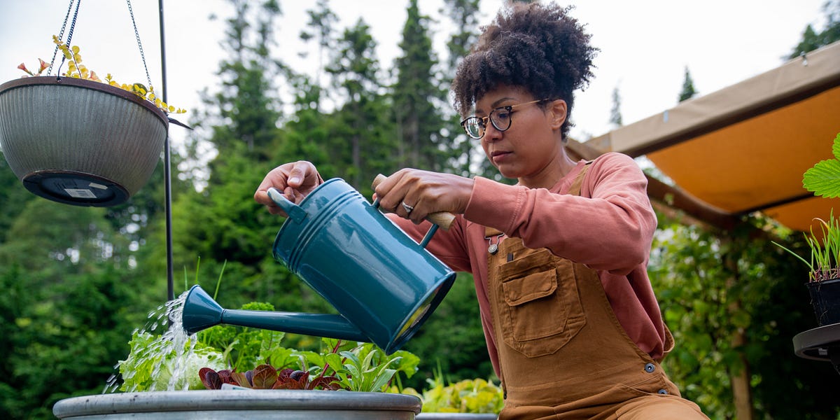 The Audacity to Dream - by Hillarie Maddox