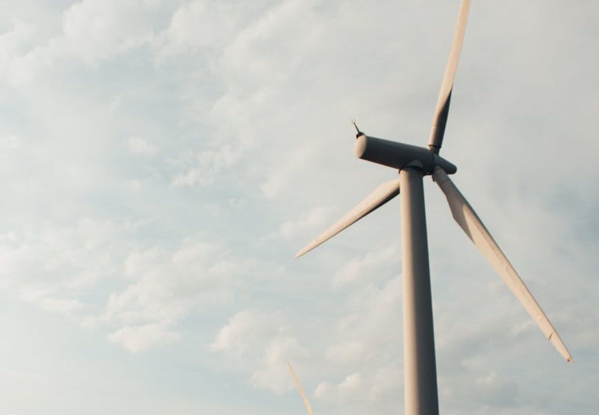 Why “Going Green” Is So Important for Businesses