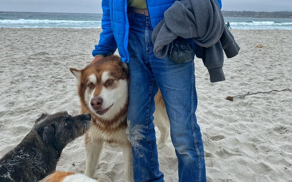 The Lapidarist - Tom Ryan, Author