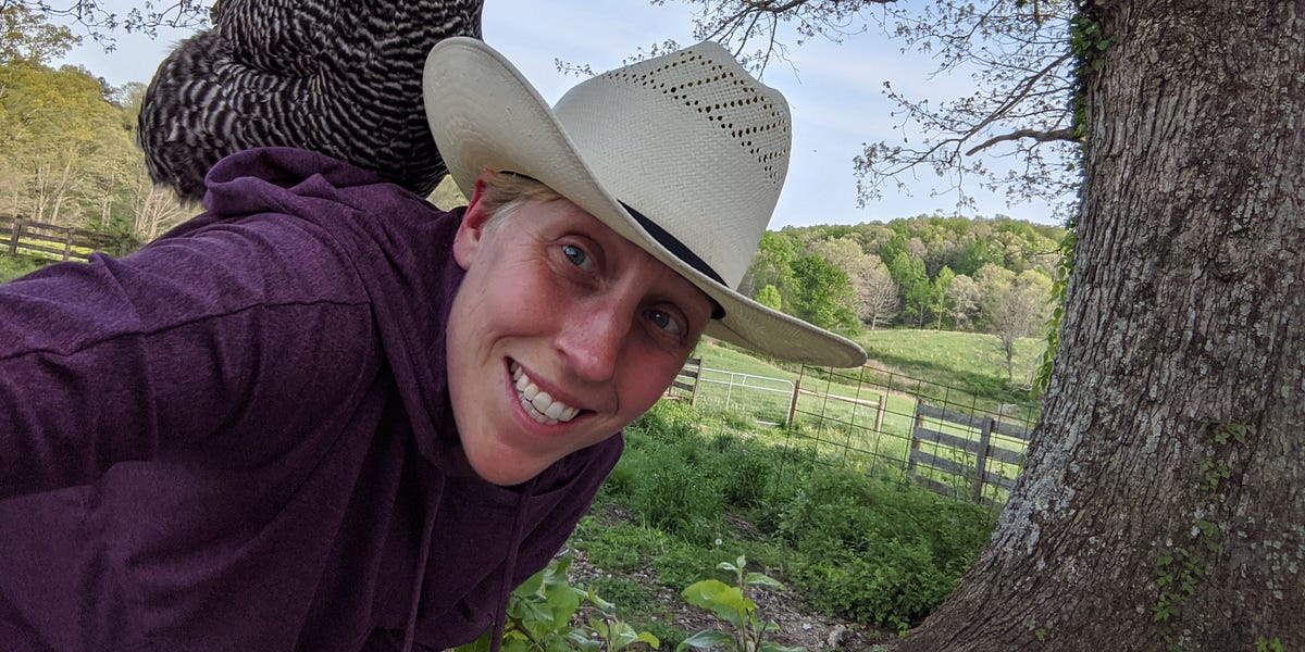 Birds Of A Feather - by AC Shilton - AffirmationChickens