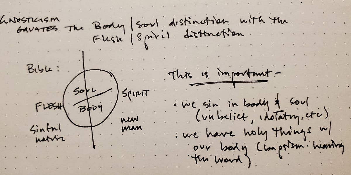 Body/Soul ≠ Flesh/Spirit - by Bryan Wolfmueller