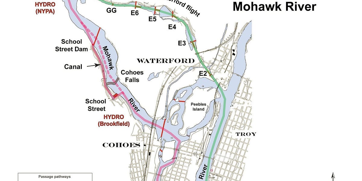 Assisted passage for Forage Fish in the Mohawk watershed