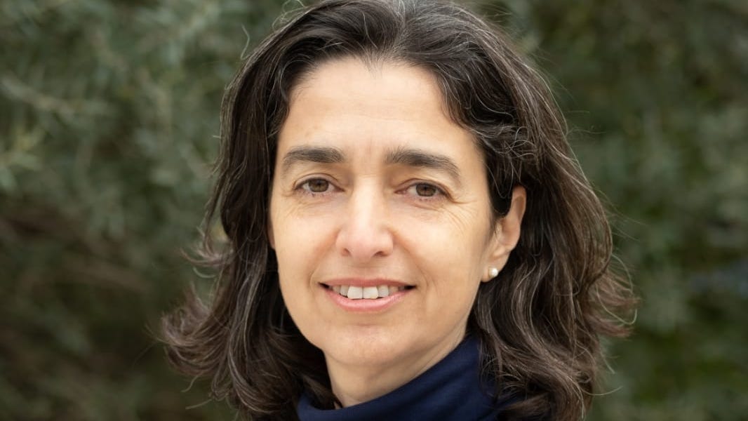 Roni Aboulafia: filmmaker, screenwriter and political activist