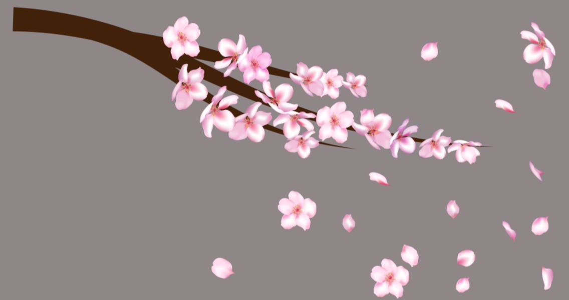 WHY IS JAPAN SO IMPORTANT? - by Russell Clark