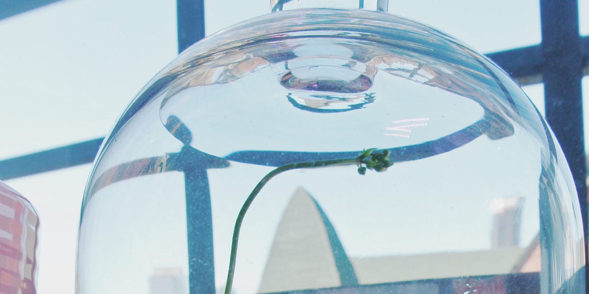 the right to create your own atmosphere - by Ellen Airhart