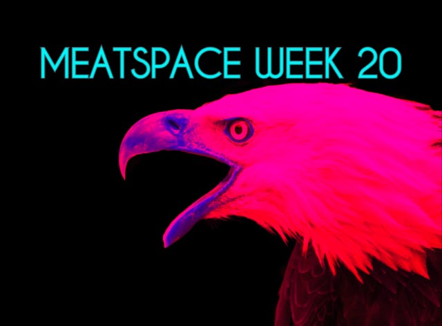 Is This a Test - Meatspace