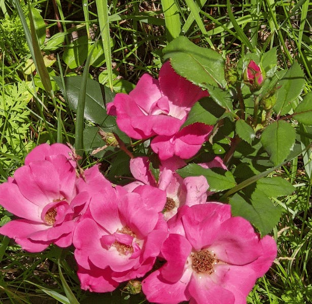 Walk - by Con/Jur/d - gate(less)