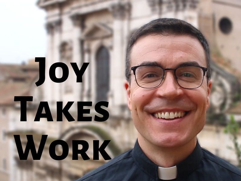 Joy Takes Work - by Fr. Michael Rossmann, SJ - The Ruckus