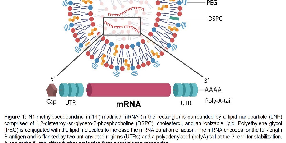 Παθολογικός σχηματισμός συγκυτίων με εμβόλια mRNA