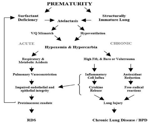 European Consensus Guidelines on the Management of Respiratory Distress ...