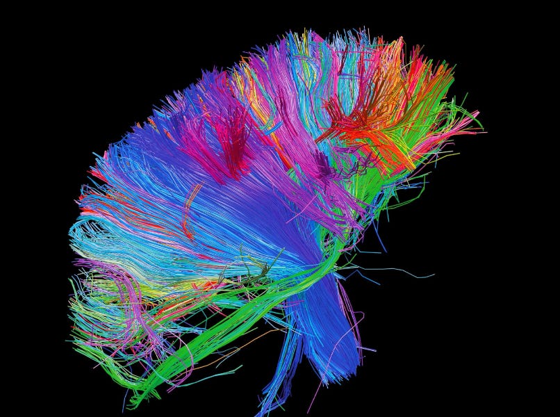 What Happens To Your Brain During a Concussion