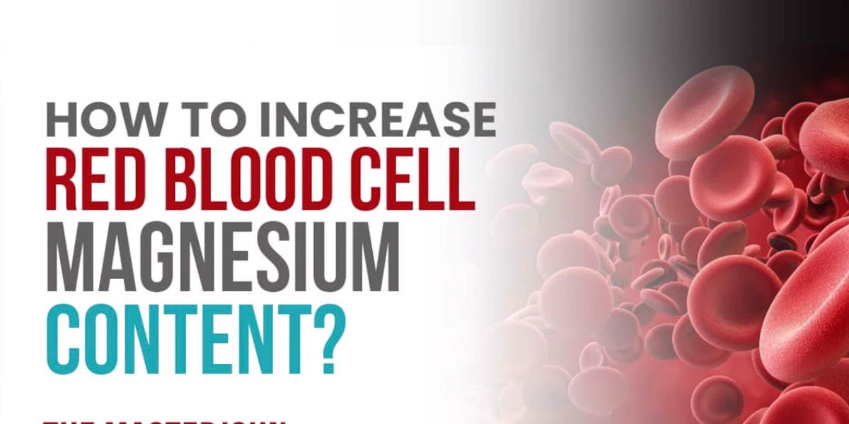 164: How to increase red blood cell magnesium content?